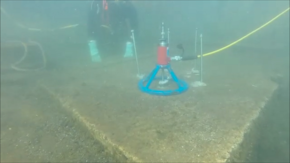 BOSSONG BCR V PLUS e BCR EPOXY 21